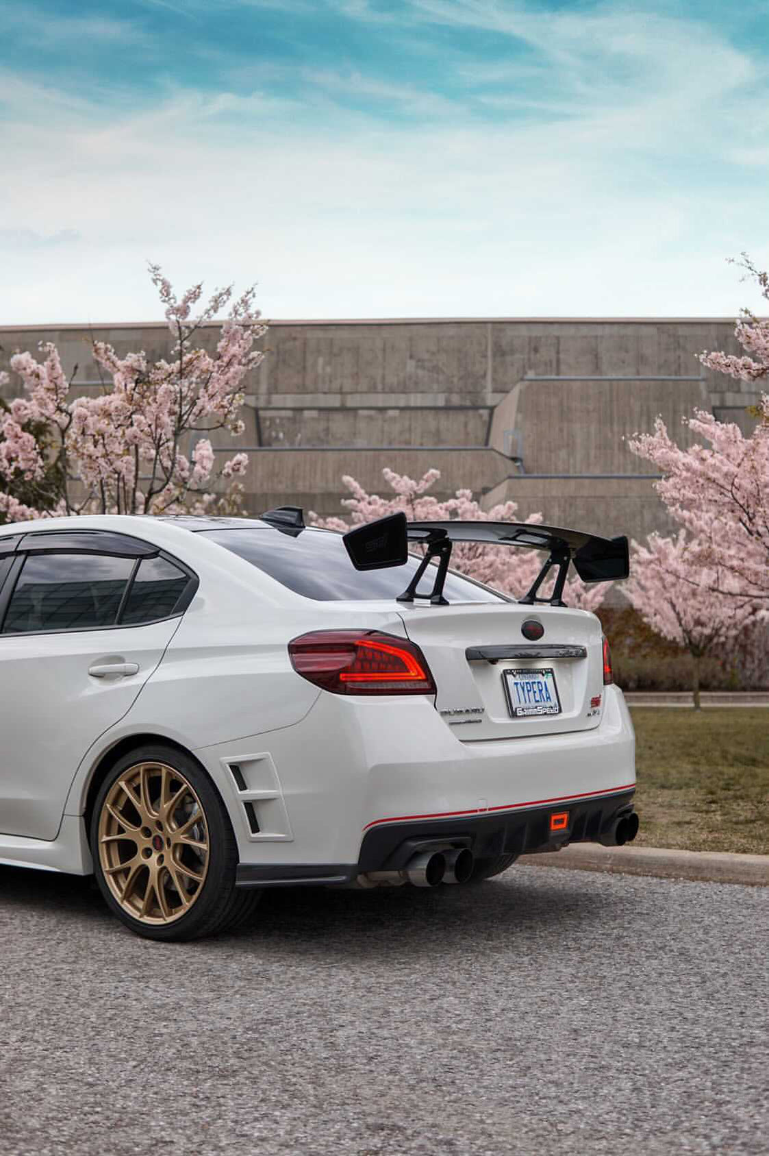 MSP Carbon Fiber Rear Spats 2015-2021 WRX/STI — WRXDaily